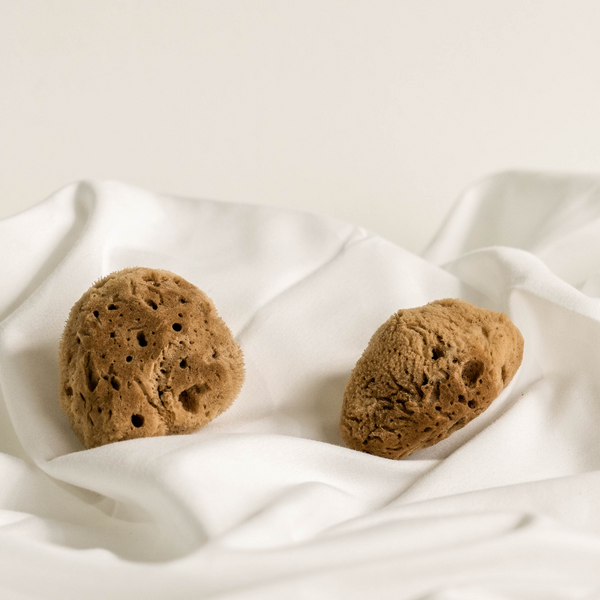 Natural Fine Silk Sea Sponge - Ecosophist