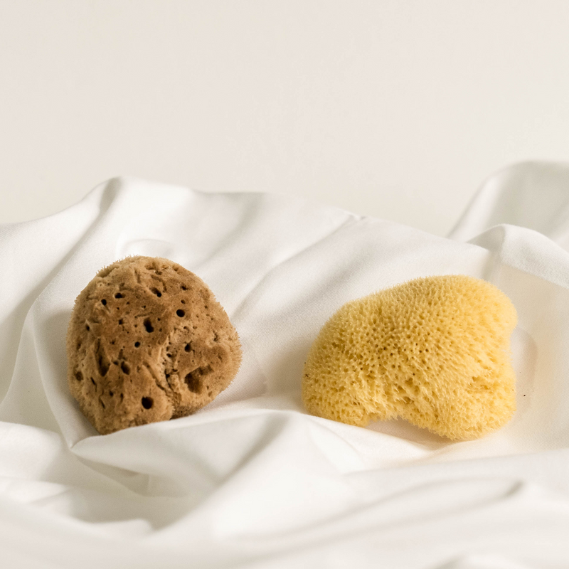 Natural Fine Silk Sea Sponge - Ecosophist